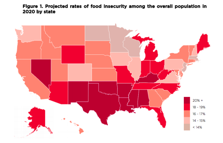 How Food Insecurity Impacts Health – Each Green Corner
