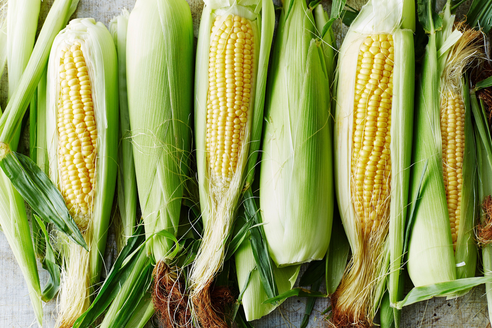 What to Plant: Corn – Each Green Corner