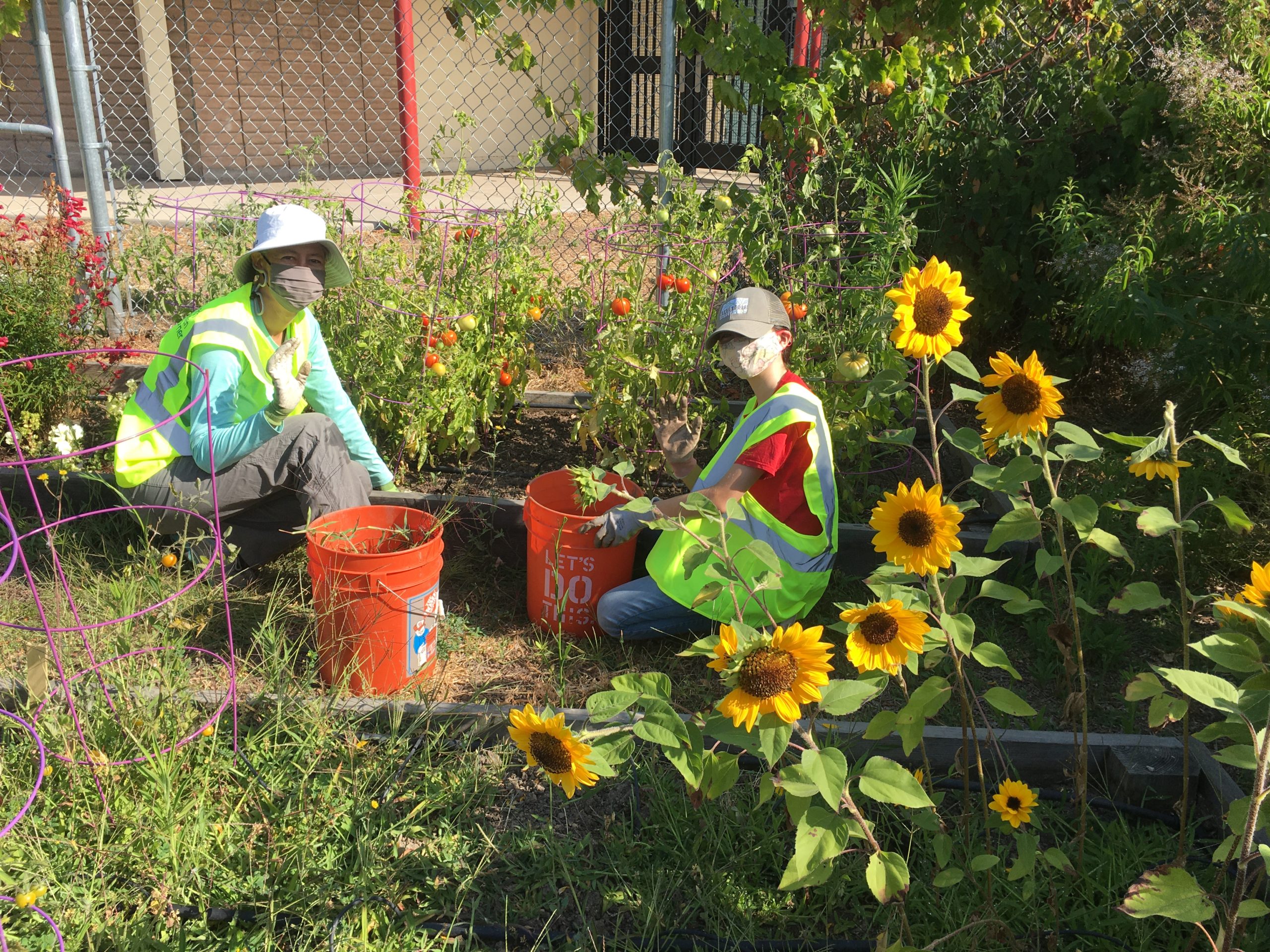 Volunteer – Each Green Corner