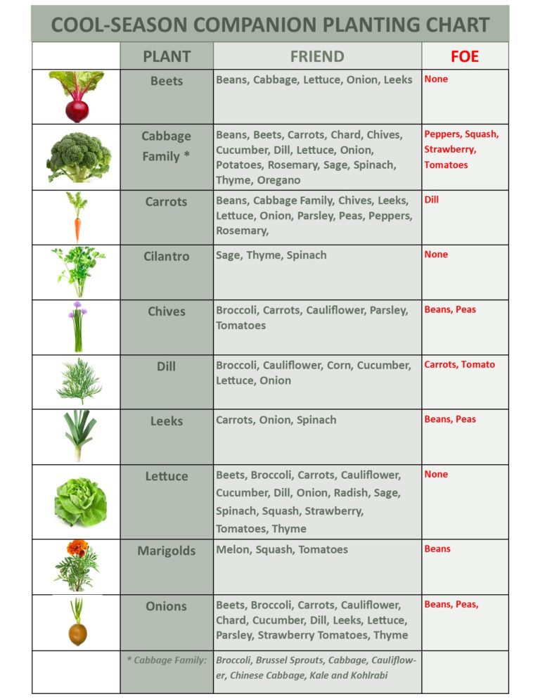 Friend or Foe – Companion Planting – Each Green Corner