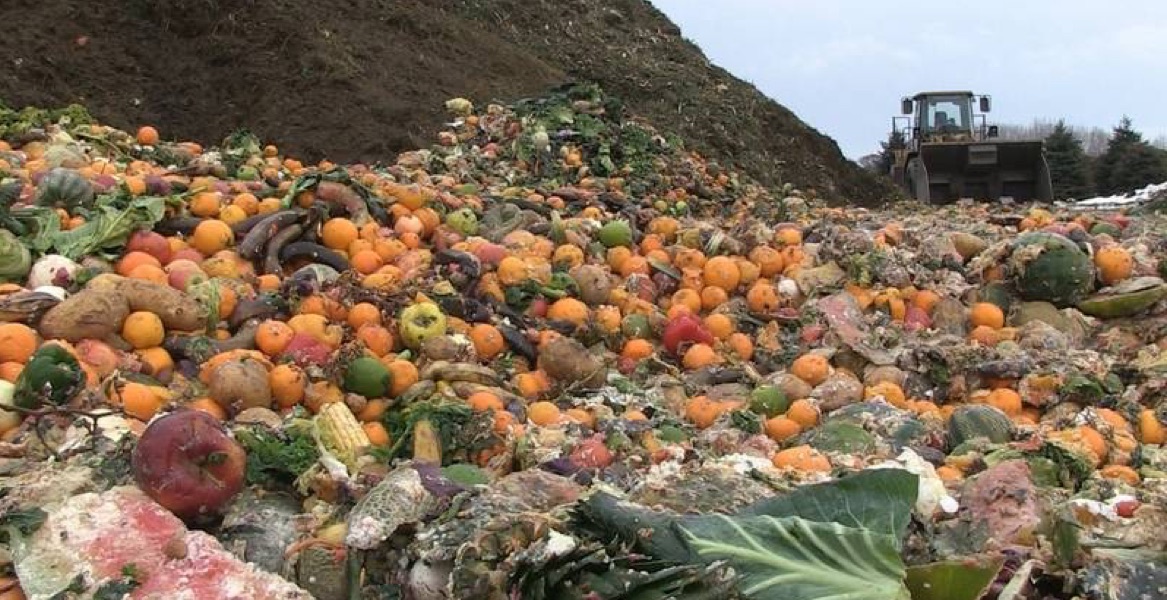 Waste in the Food Supply Chain – Each Green Corner