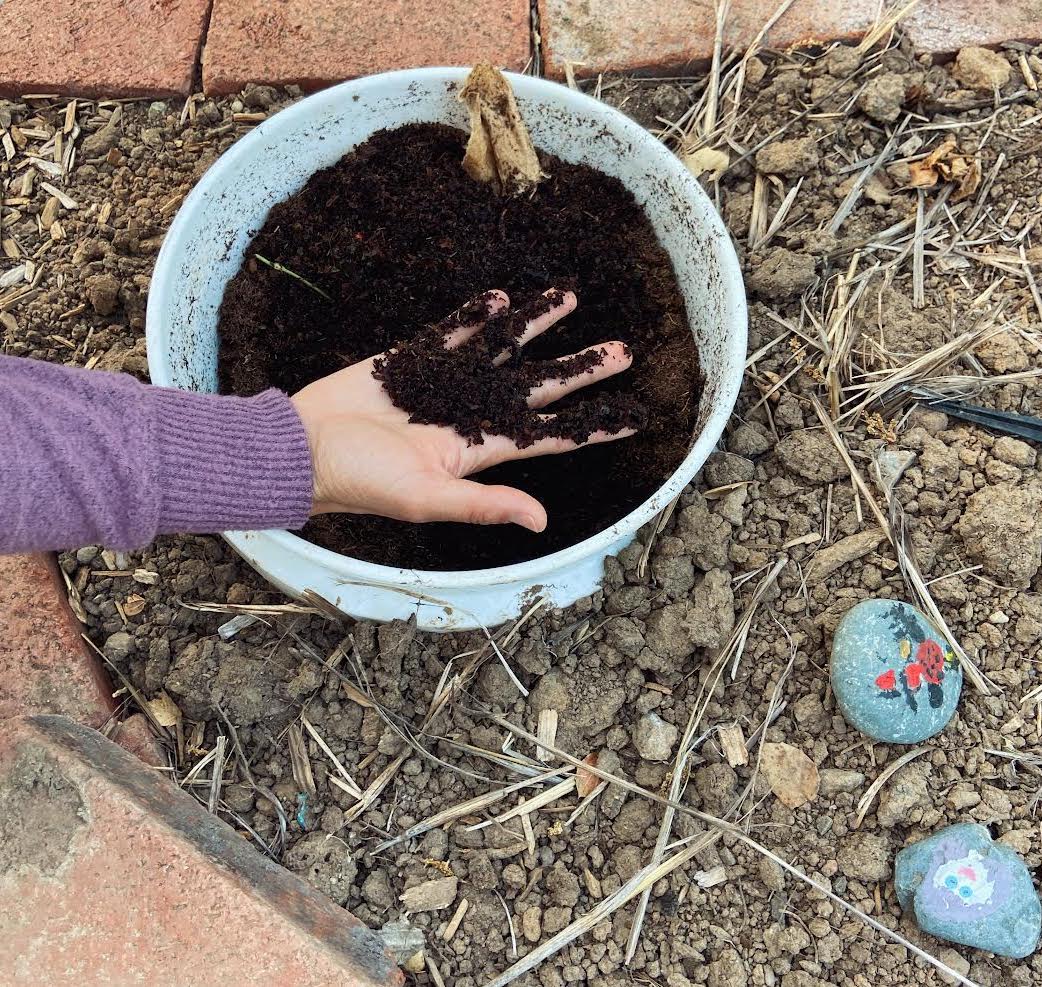 Good Critters and Bugs for the Soil – Each Green Corner