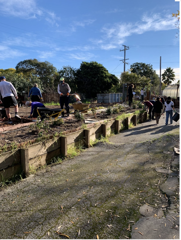 Benefits Of Using A High School Garden As A Way To Battle Food benefits-of-using-a-high-school-garden-as-a-way-to-battle-food