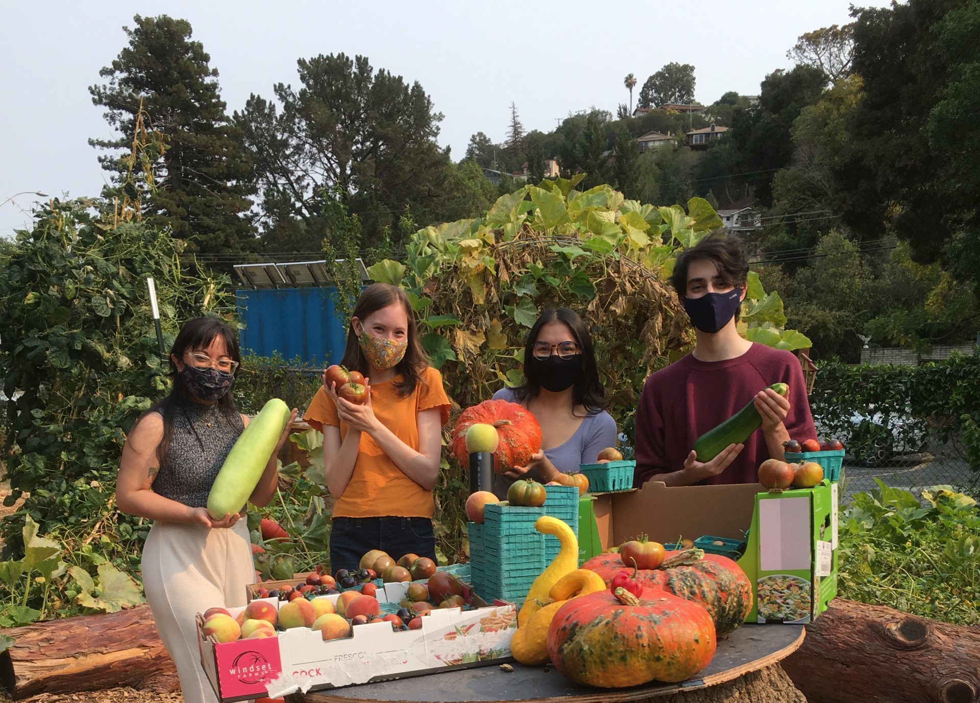 Donate – Each Green Corner