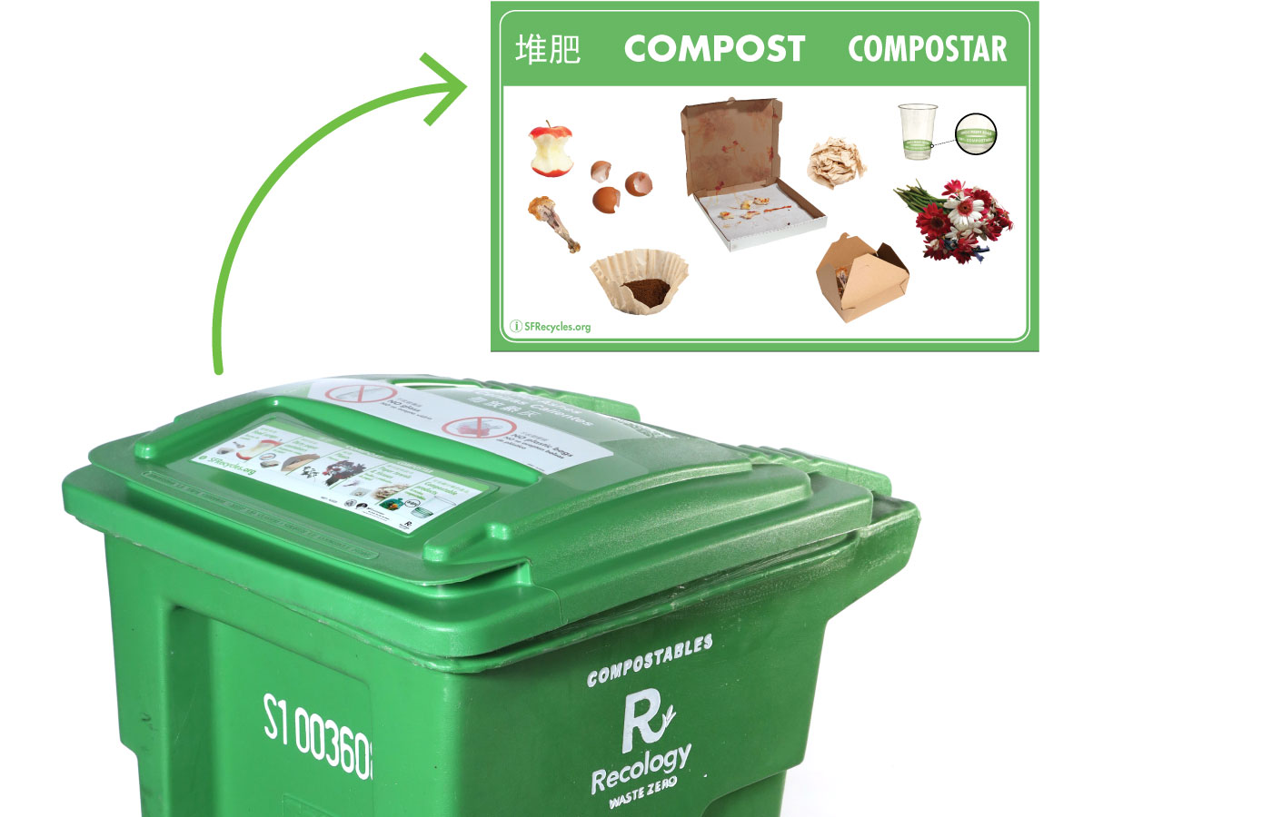 How To Compost In an Apartment – Each Green Corner