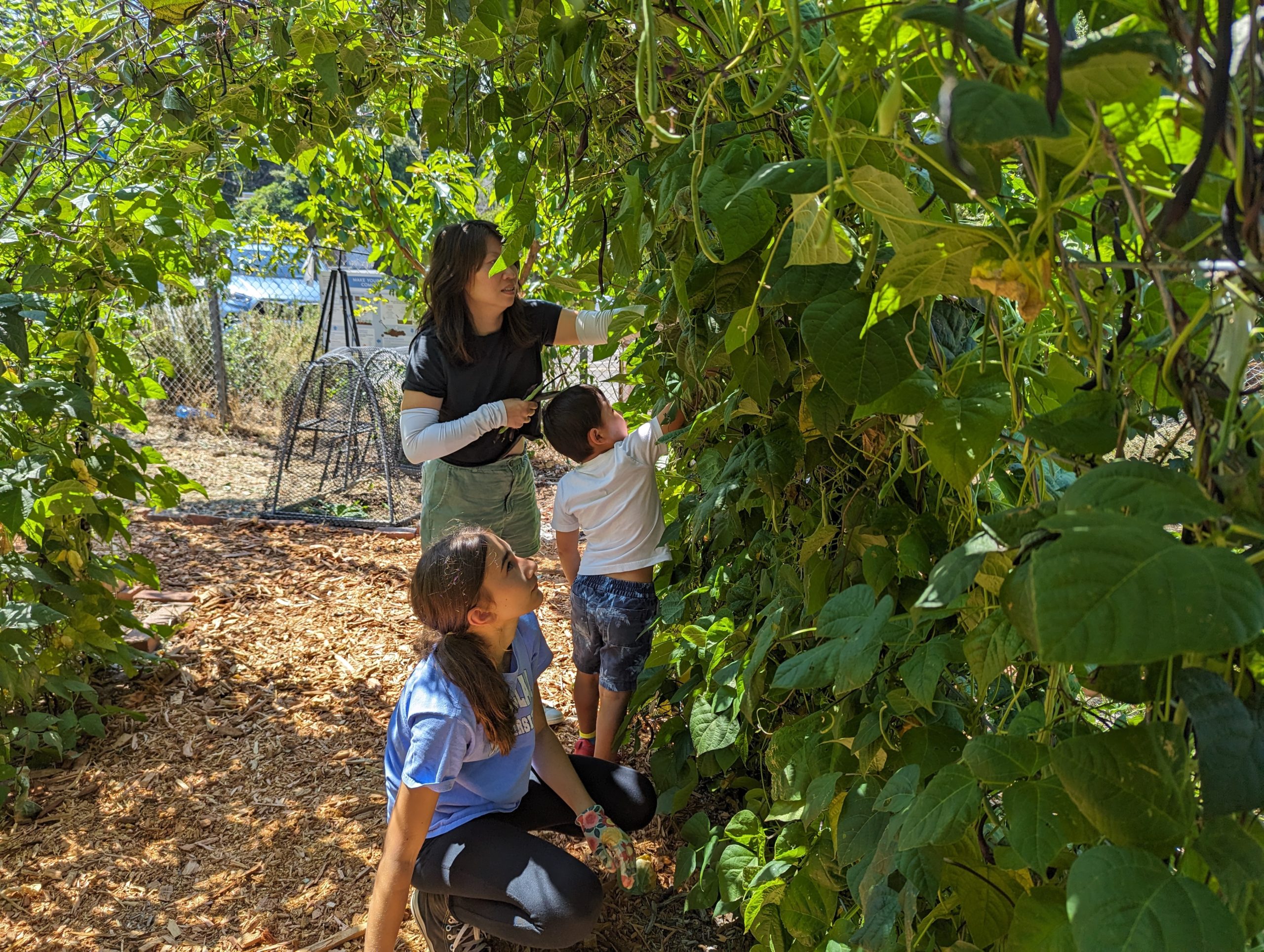 EGC Program Highlights: Food Explorers – Each Green Corner